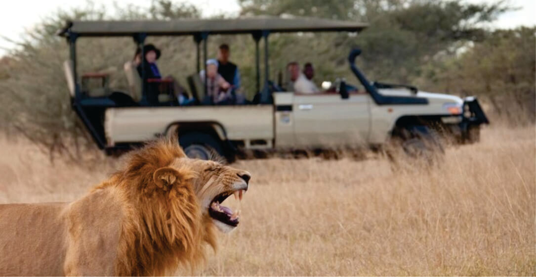 Safari Game Drive in Masai Mara from Trans Mara – Trans Mara Safari ...